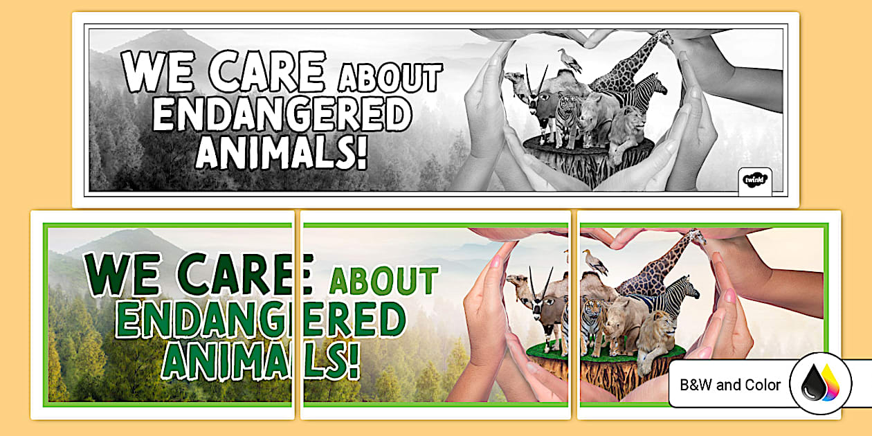 We Care About Endangered Animals Photo Banner (teacher made)