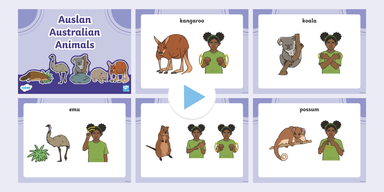 Auslan Australian Animals PowerPoint (teacher made) - Twinkl