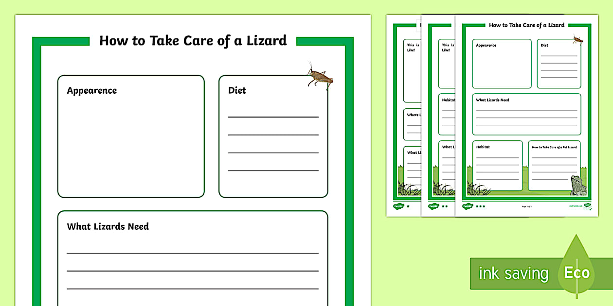 How to Take Care of a Lizard Fact File (teacher made)