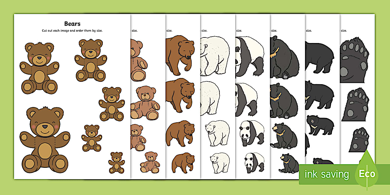 Black and White Bear-Themed Size Ordering - Twinkl