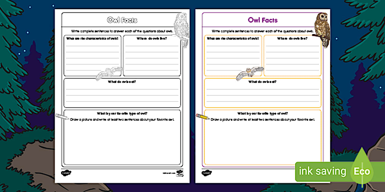 Owl Facts Writing Worksheet (professor feito) - Twinkl