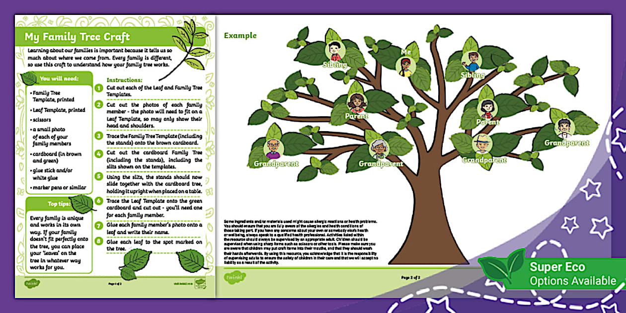 My Family Tree 3D Craft (Teacher-Made) - Twinkl