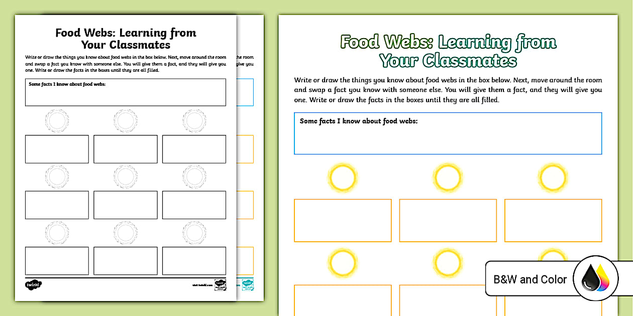 Food Webs: Learning from Your Classmates Worksheet - Twinkl
