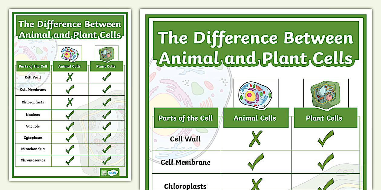 Parts of the Cell Poster (teacher made) - Twinkl