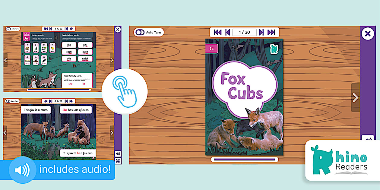 Level 3a Reading Scheme Book: Fox Cubs (teacher made)