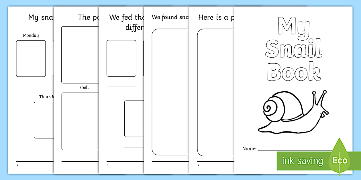 My Snail Project Activity Booklet - Twinkl