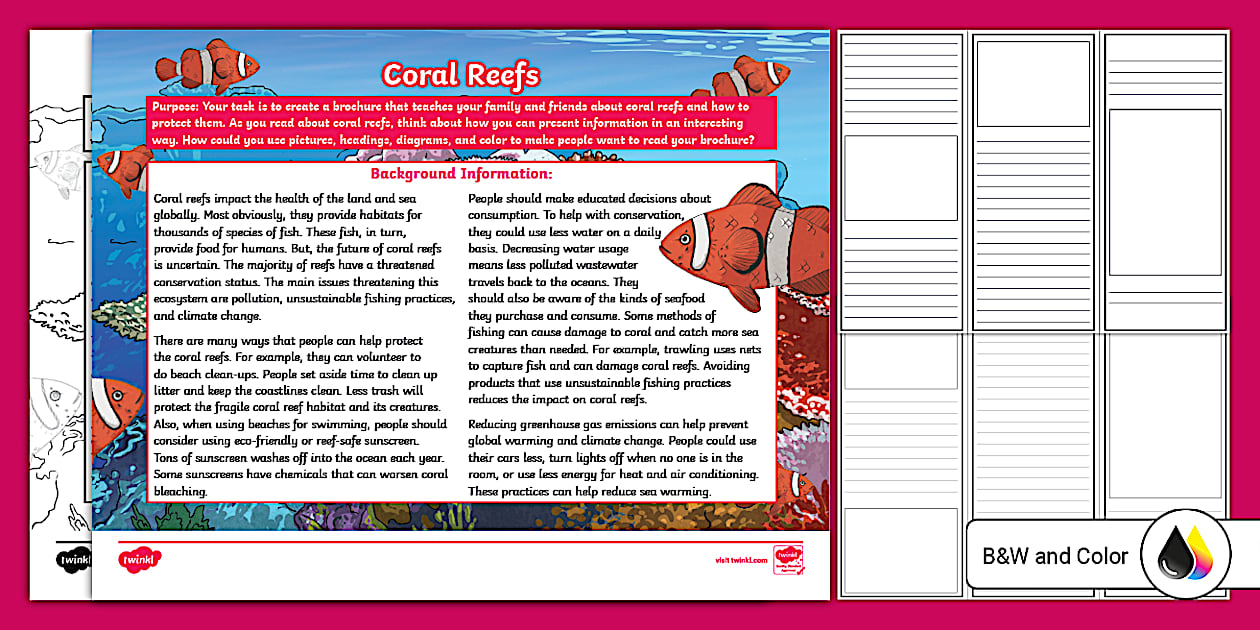 Sixth Grade Protect the Coral Reefs Project | Twinkl USA