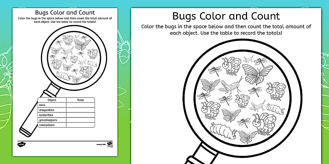 Bugs Color and Count Worksheet (teacher made) - Twinkl