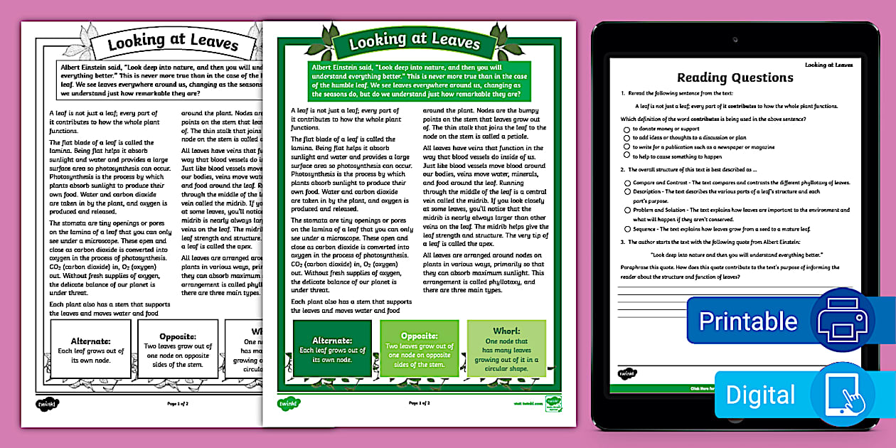 Sixth Grade Looking At Leaves Comp. Craft & Structure Act