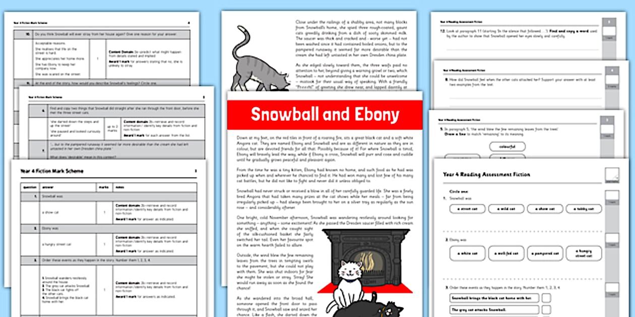 Year 4 Term 2 Fiction Reading Assessment (teacher made)