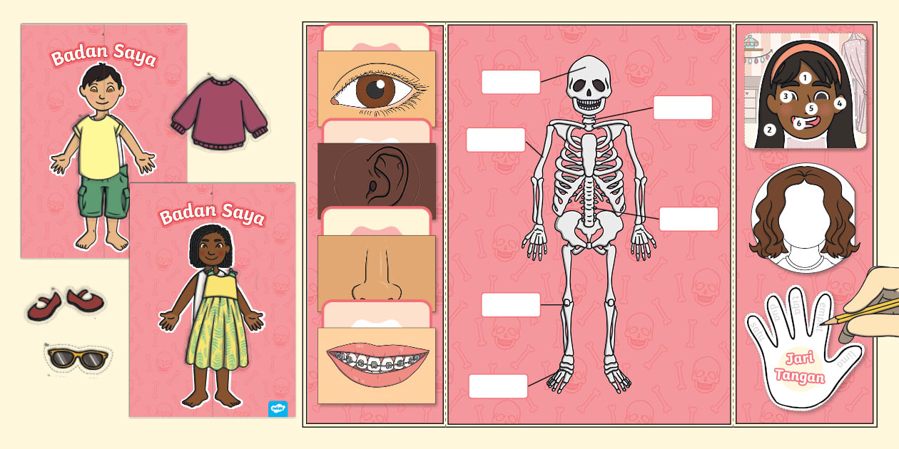 My Body Lapbook - Indonesian (teacher made) - Twinkl