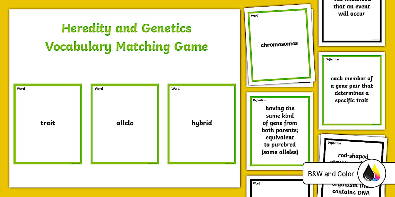 Heredity and Genetics Vocabulary Matching Game for 6th-8th Grade