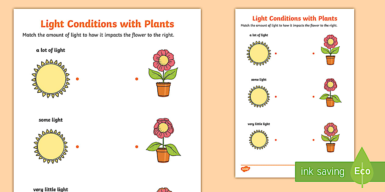 Precursive Light Conditions in Plants Match and Draw