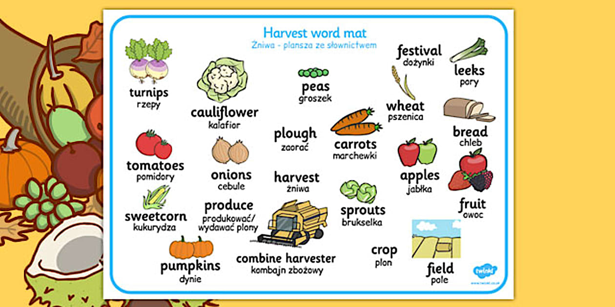 Harvest Word Mat Polish Translation (Teacher-Made) - Twinkl