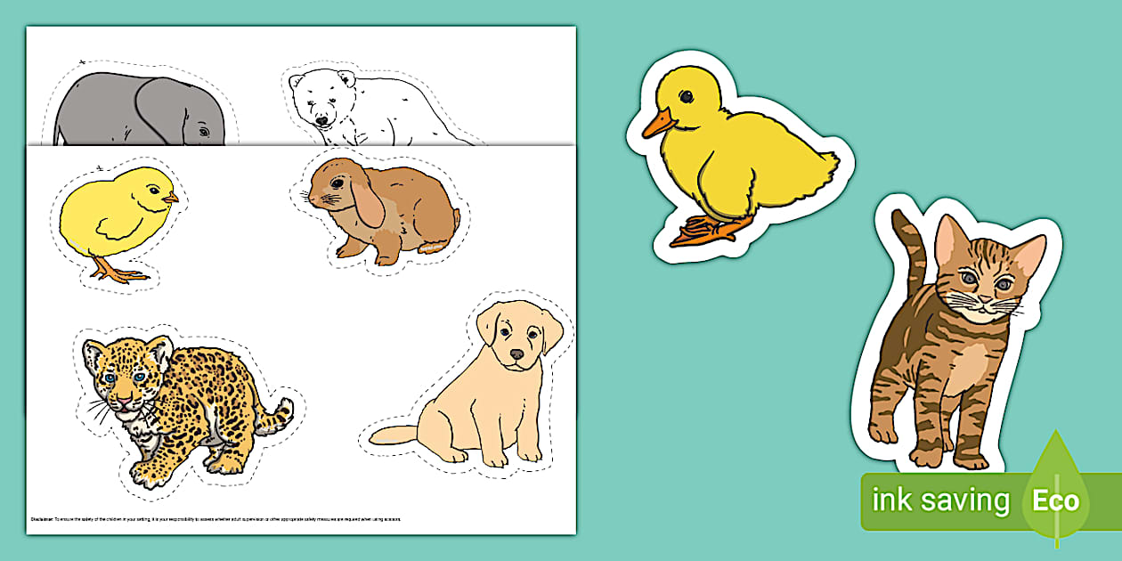 Baby Animals Display Cut-Outs (teacher made) - Twinkl