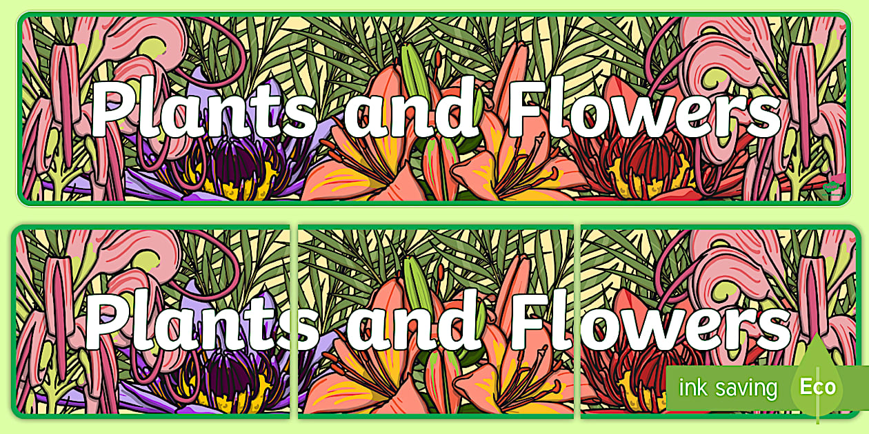 Plants and Flowers Display Banner (teacher made) - Twinkl