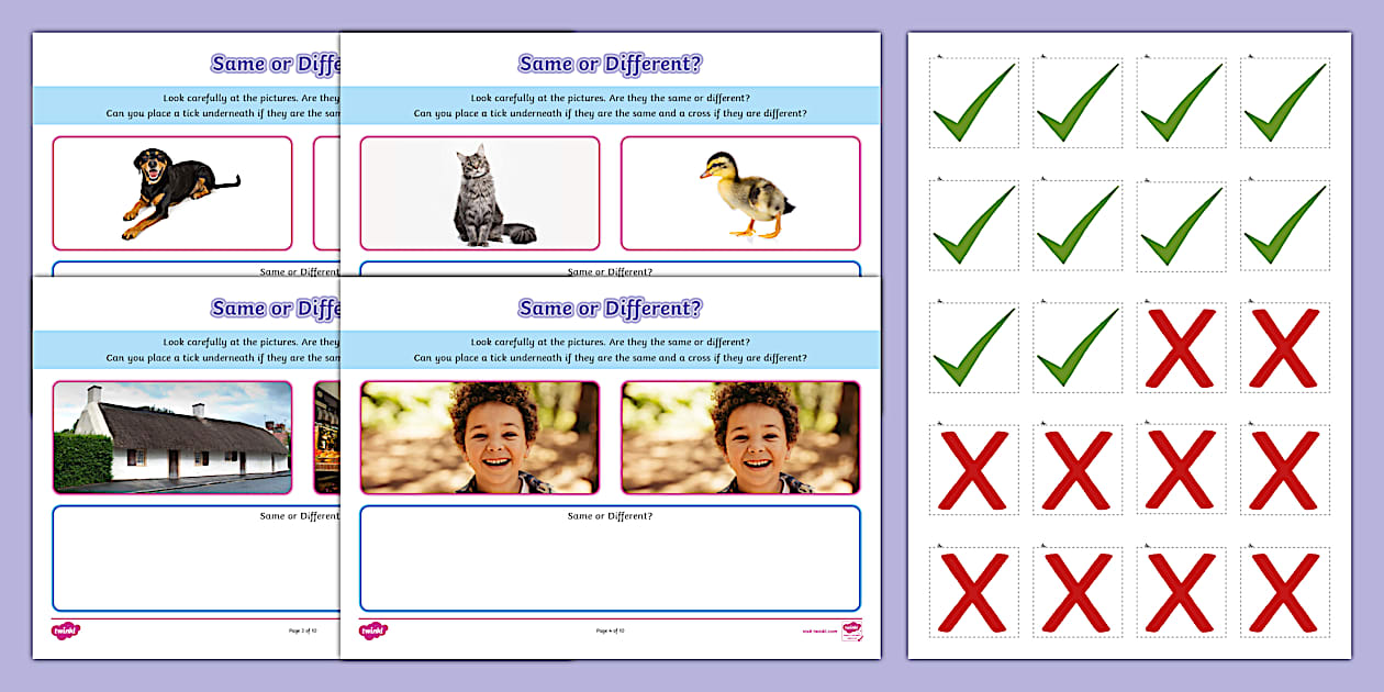 Same or Different Photo Cards - Photo Card Tasks - Twinkl