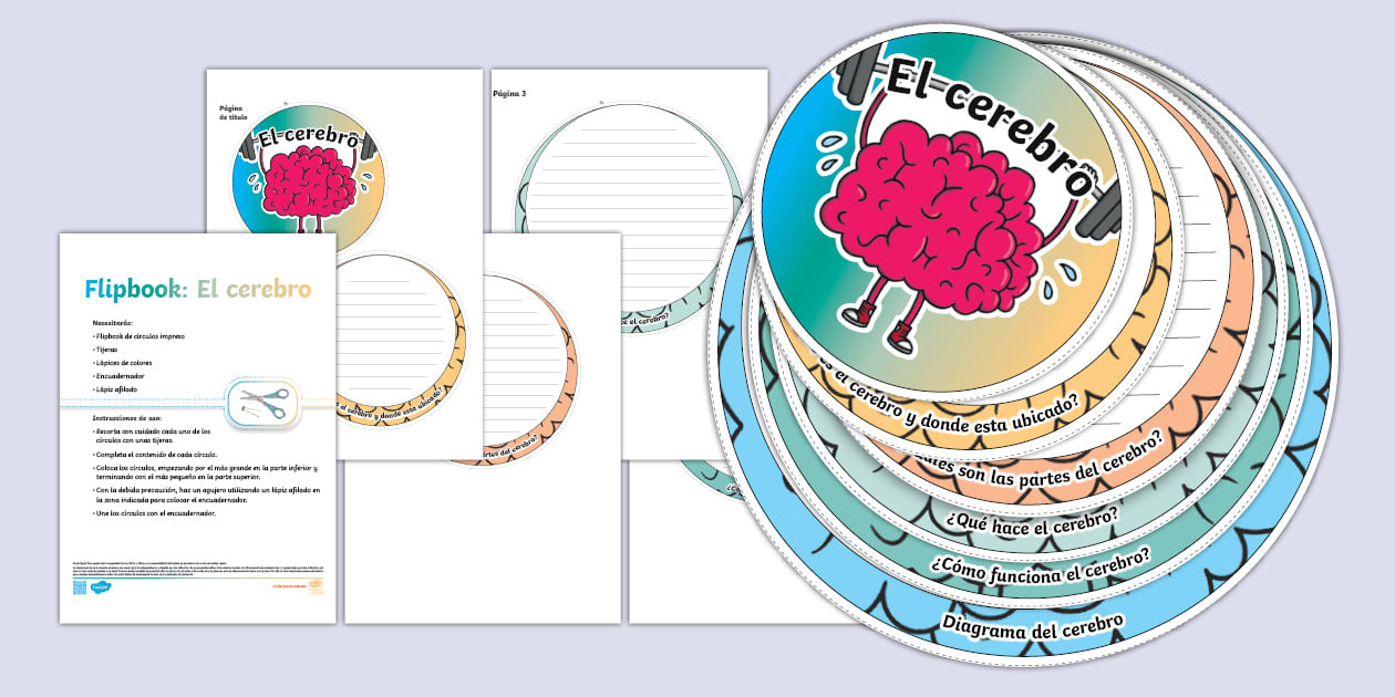Flipbook: El cerebro - Twinkl Ciencias Naturales - Twinkl