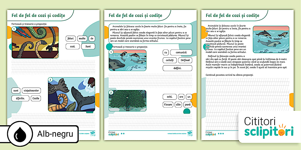 Litera F – Fișă de citire și de scriere, Plan de literație