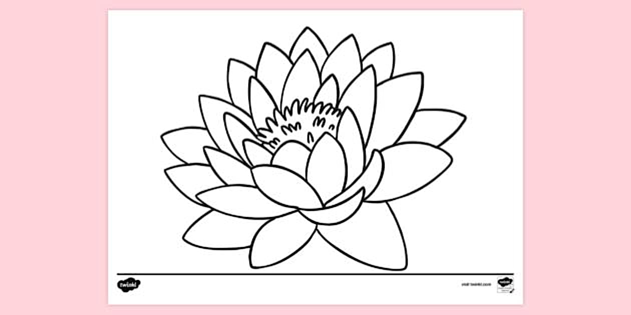 Colouring Pages of Lotus | Colouring Sheets (teacher made)