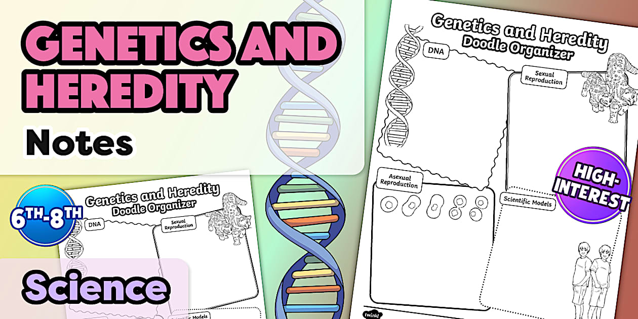 Genetics and Heredity Notes Doodle Organizer | Twinkl USA