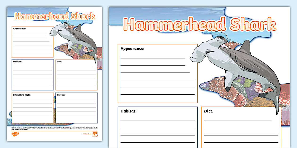 Hammerhead Shark Fact File Template (teacher made) - Twinkl