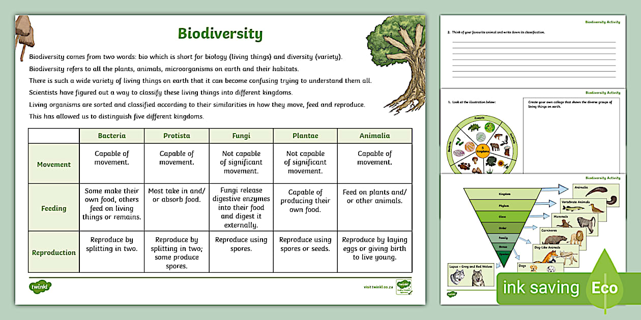 Natural Science Grade 7 Practical Tasks Term One - Twinkl