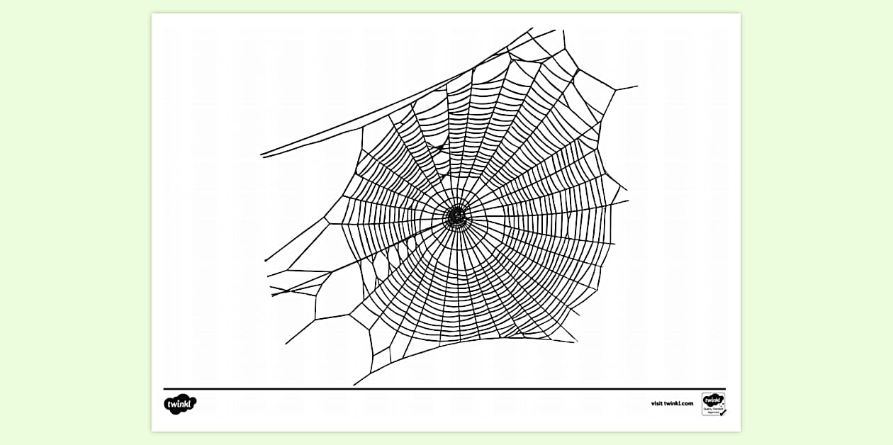 Spider Web Colouring Page | Colouring Sheets - Twinkl