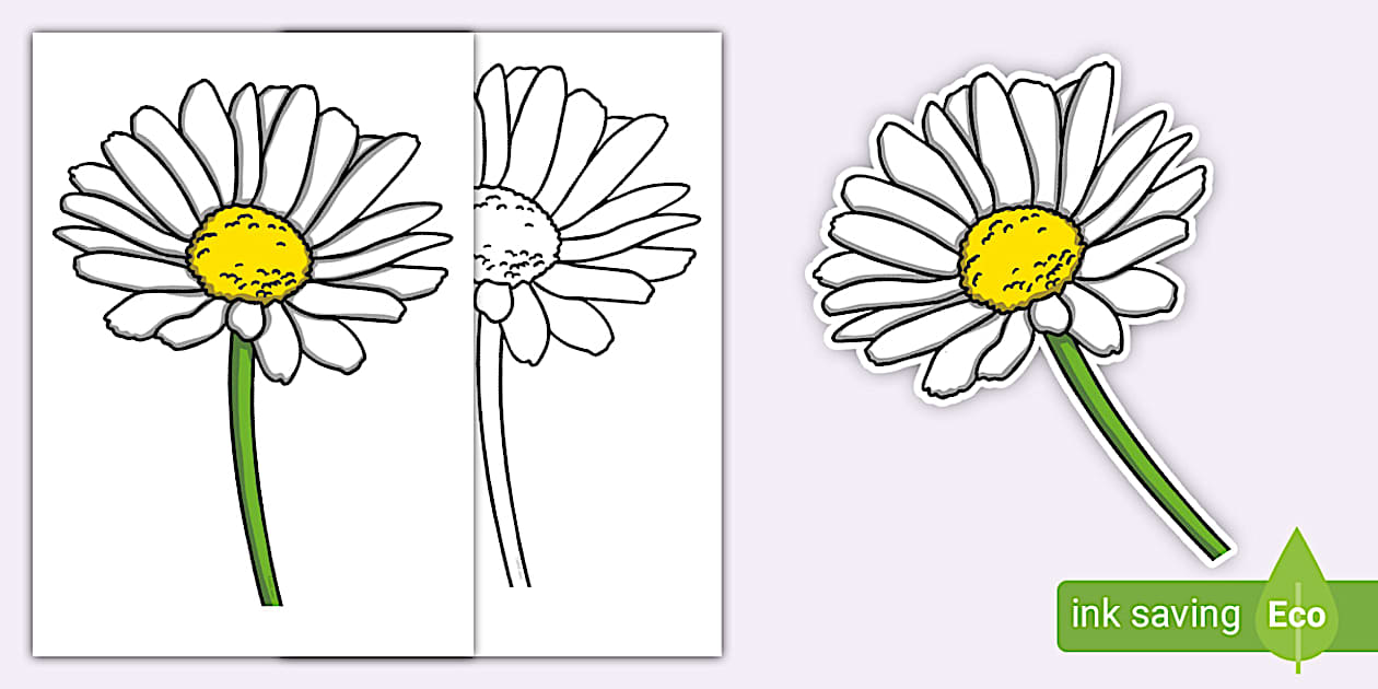 Large Daisy Display Cut-Out (teacher made) - Twinkl
