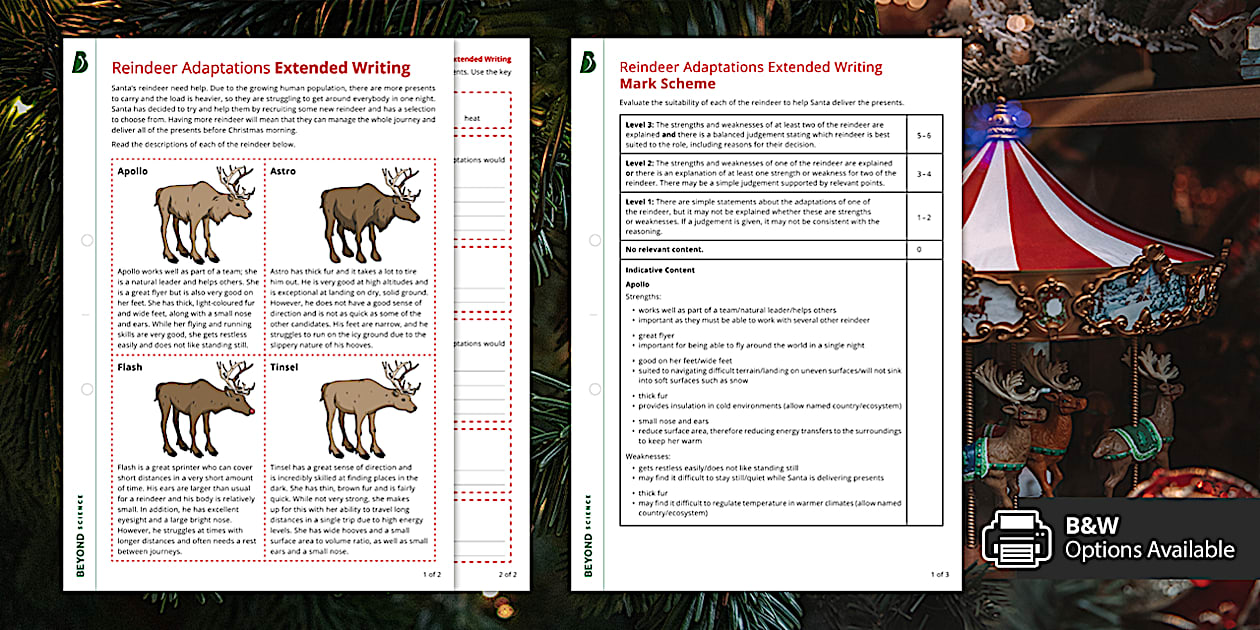 Christmas Science: Reindeer Adaptations Extended Writing