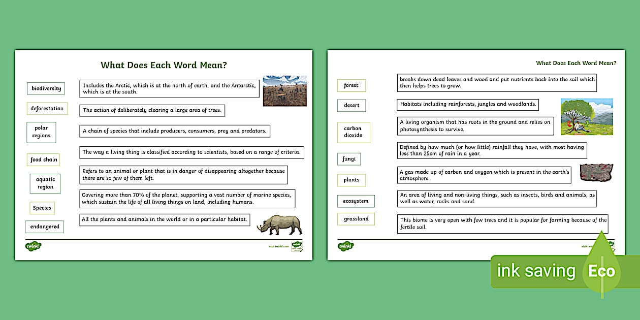 Biodiversity Vocabulary Match Up Activity (teacher made)