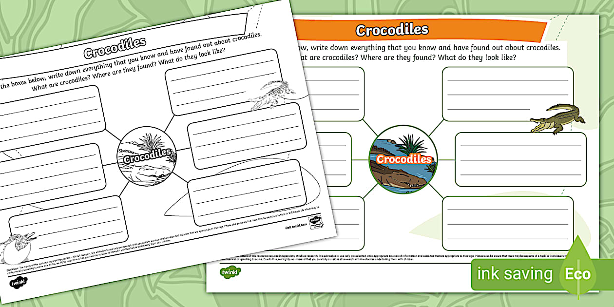 Crocodiles Mind Map (teacher made) - Twinkl