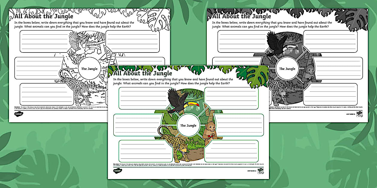 All About the Jungle Mind Map - Twinkl Ireland - Twinkl