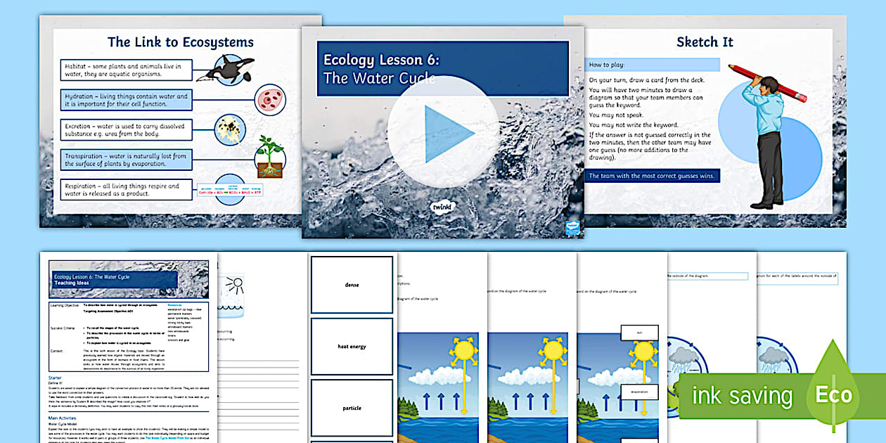 The Water Cycle | AQA GCSE | Topic 7 - Ecology | Beyond