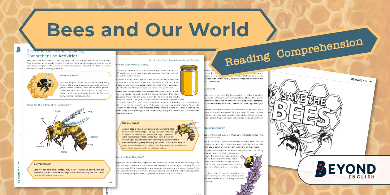All About Bees - Reading Comprehension Activities