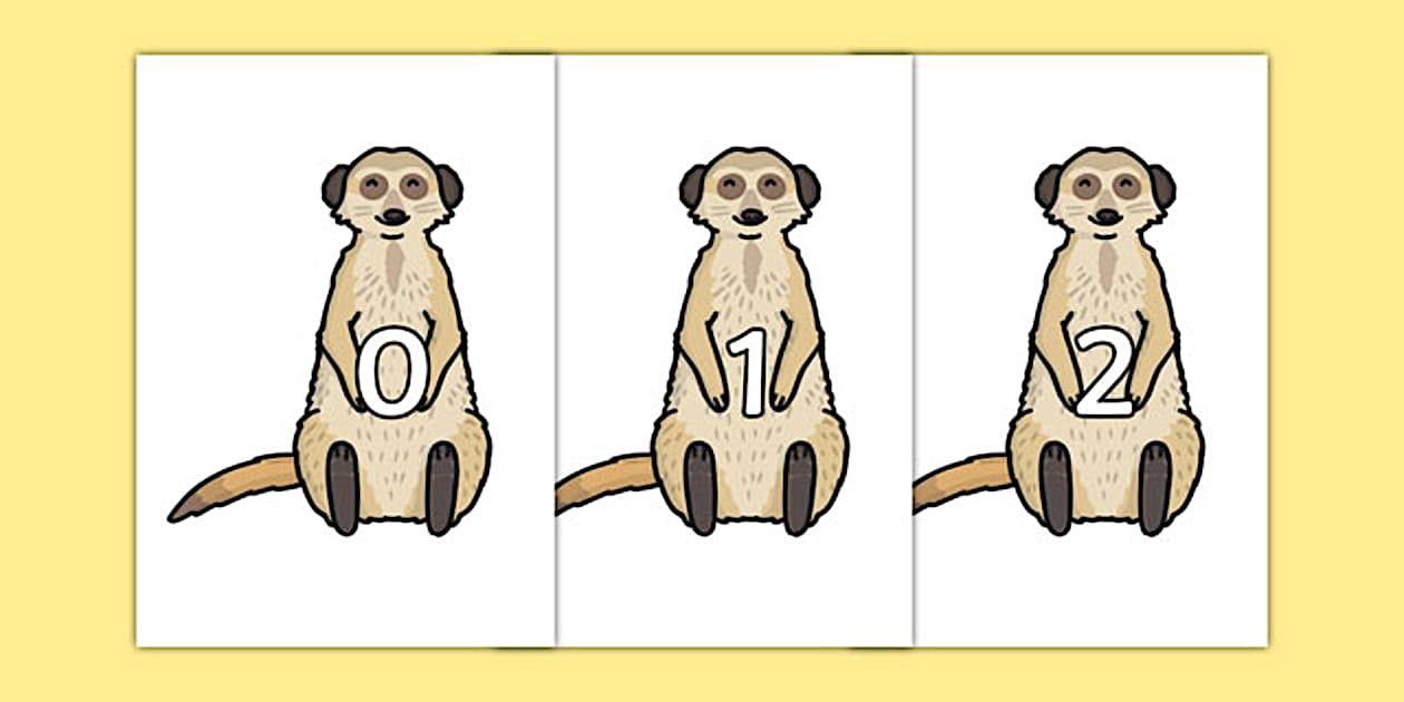 Numbers 0-31 on Meerkats (Hecho por educadores) - Twinkl