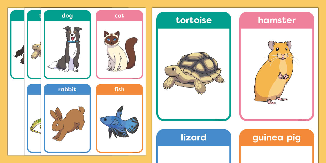 Originals First Words Flashcards: Pets (teacher made)