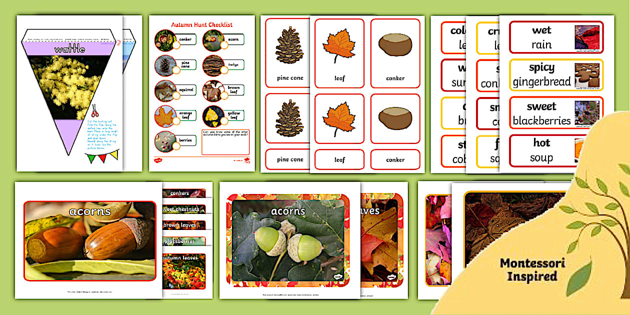 Montessori-Autumn Pack (nauczyciel wykonał) - Twinkl