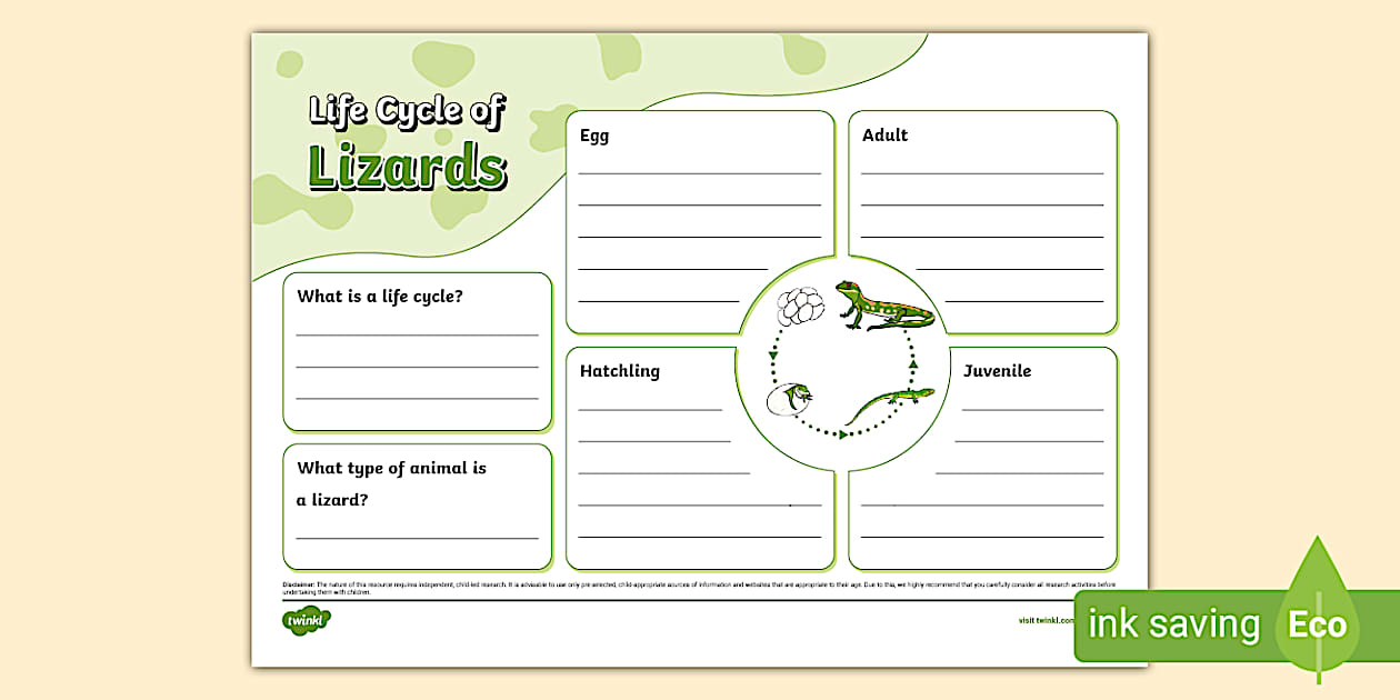 Life Cycle of Lizards Fact File Template (teacher made)