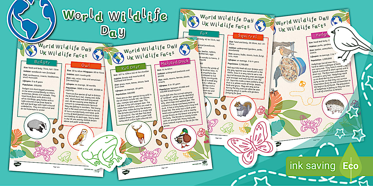 World Wildlife Day: UK Wildlife Facts (Teacher-Made)