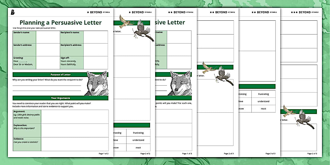 Planning a Persuasive Letter Differentiated Activity Sheet