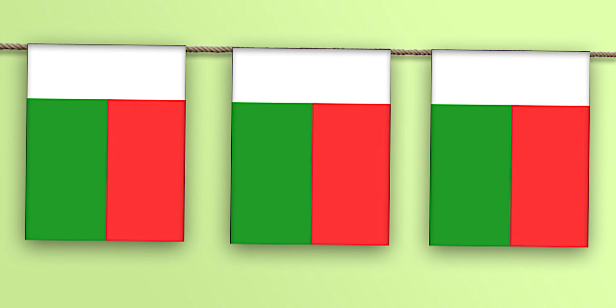Madagascar Flag Printable Bunting (teacher made) - Twinkl