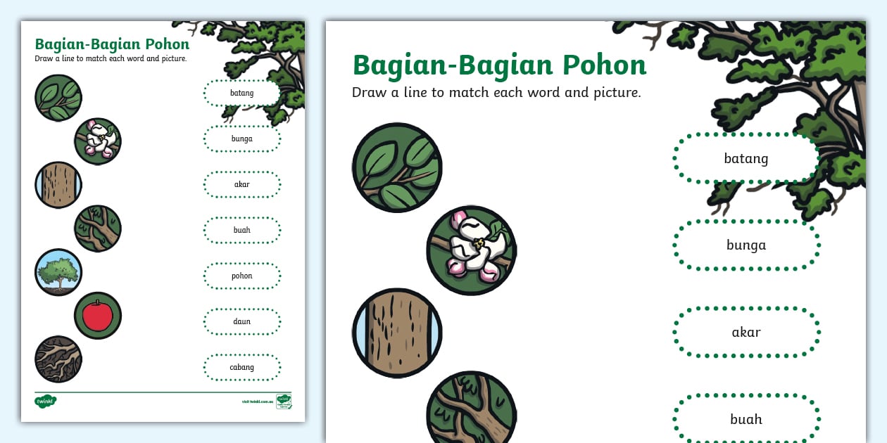 Parts of a Tree Matching Activity - Indonesian - Twinkl