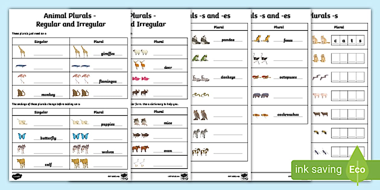 Animal Plurals Differentiated Worksheets (teacher made)