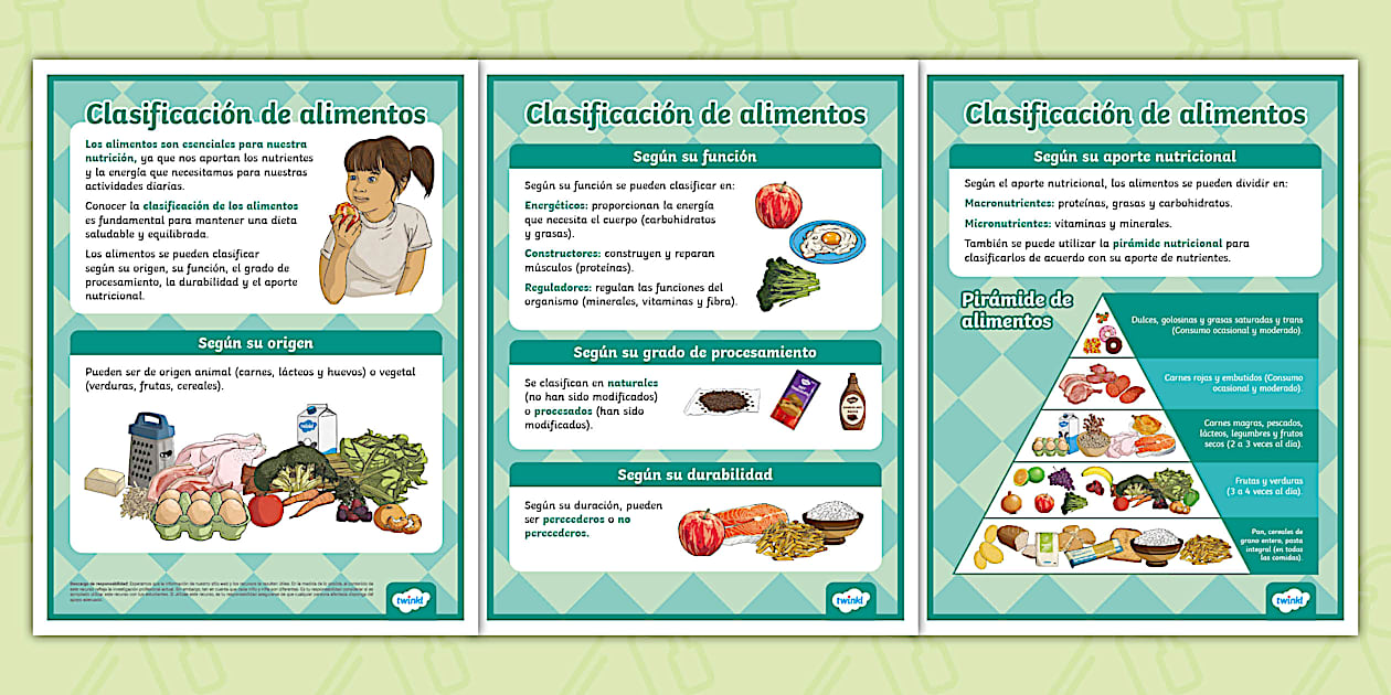 Clasificación de alimentos , infografía - Twinkl Colombia