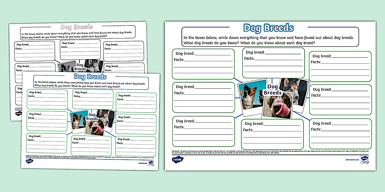 Dog Breeds Mind Map (teacher made) - Twinkl