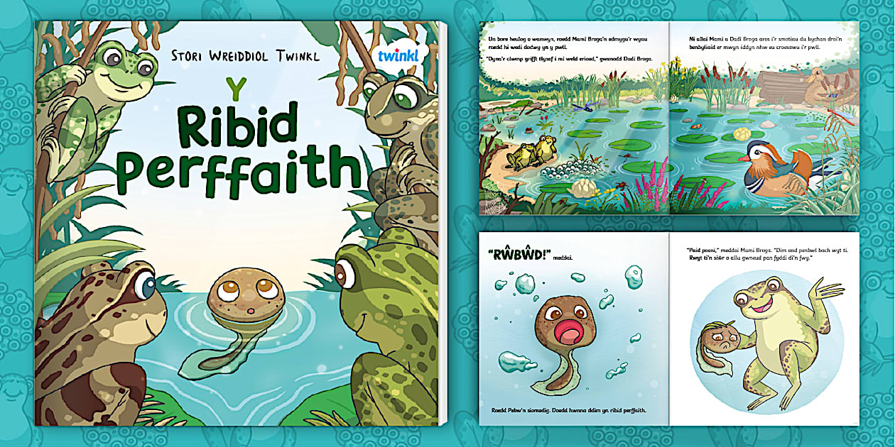 eLyfr Y Ribid Perffaith