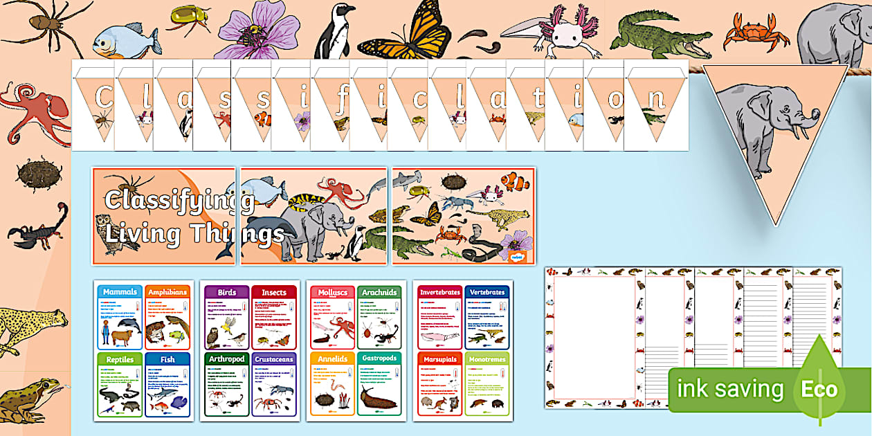 Classifying Living Things Display Pack - Science - Twinkl
