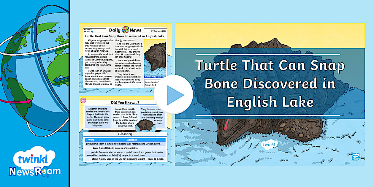 Turtle That Can Snap Bone Discovered in English Lake | Twinkl Resources