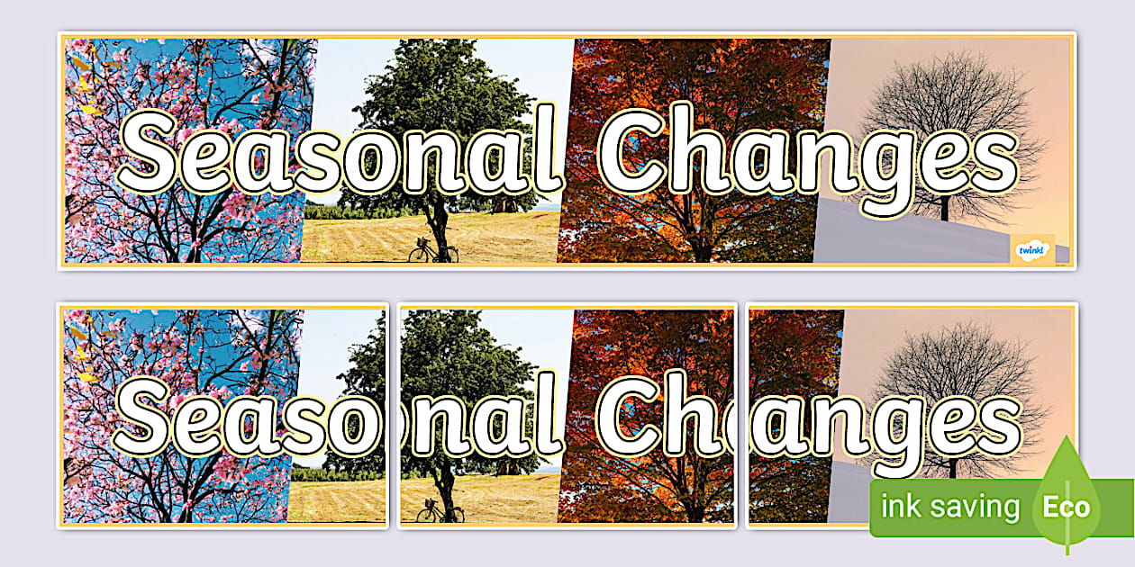 Seasonal Changes Photo Display Banner (teacher made)